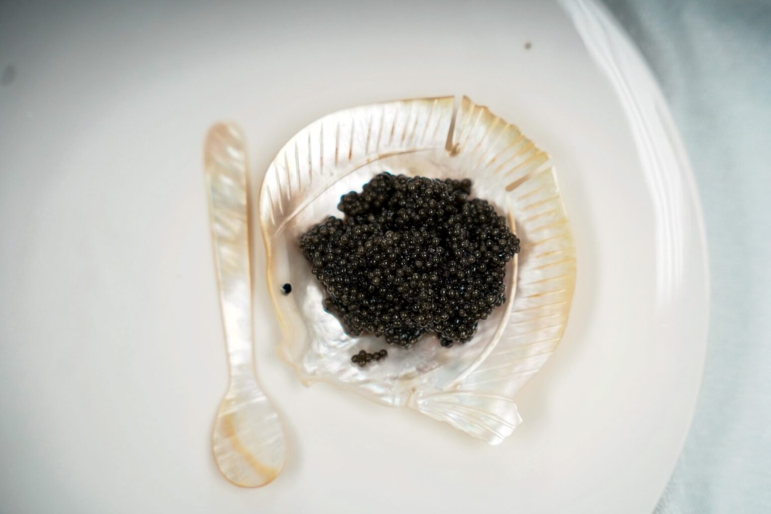 Mother of Pearl Caviar Spoons